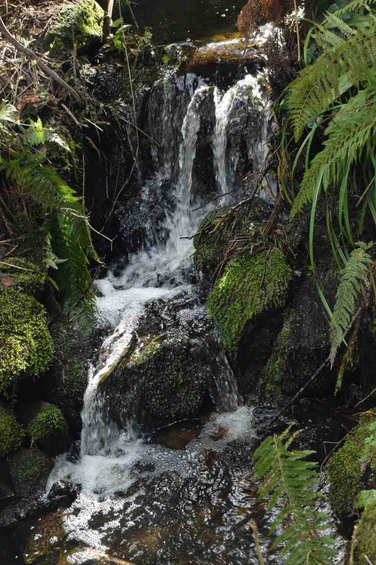 Spring at Altamont | The Biking Gardener